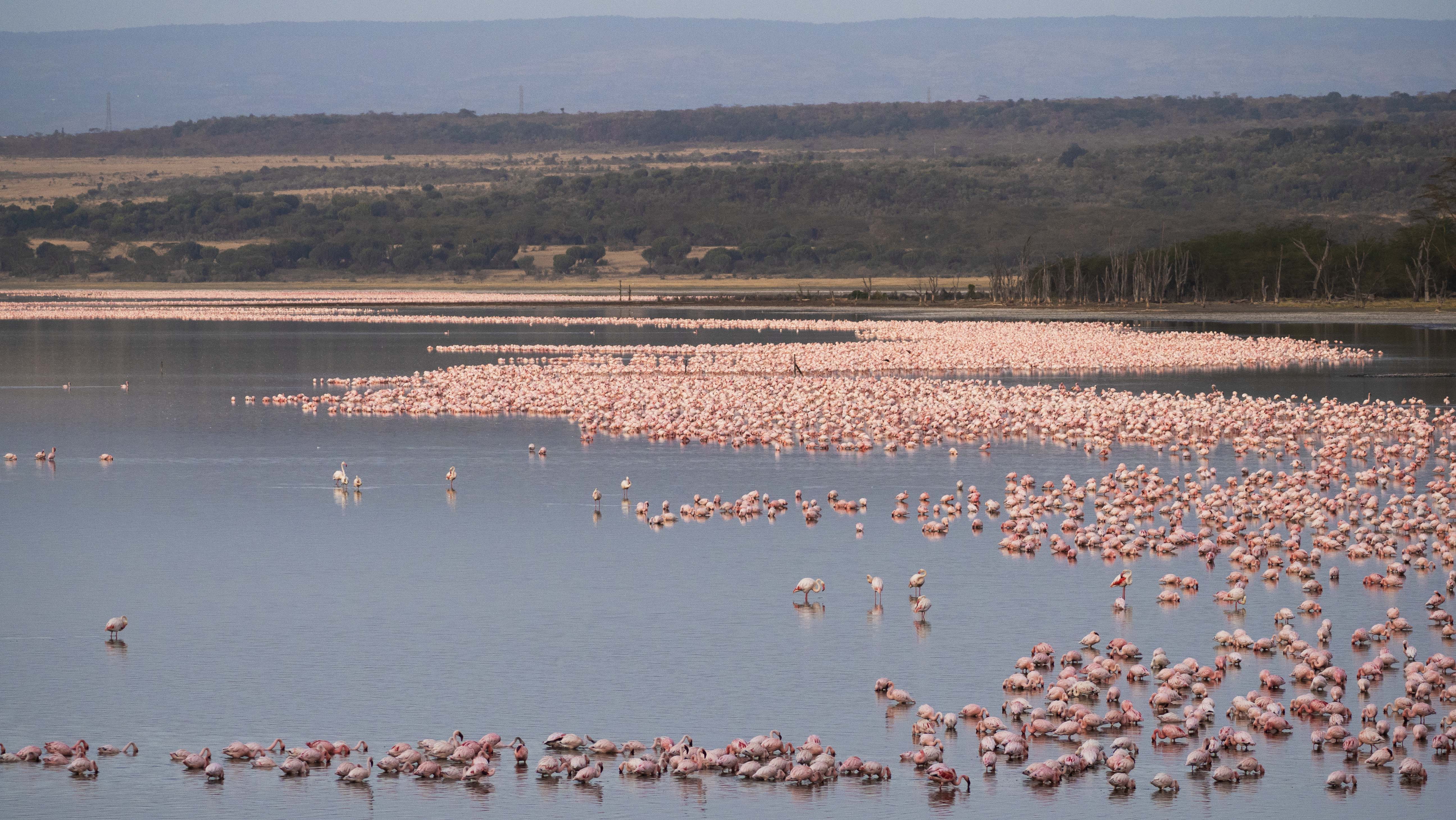 Time flies…. – Proof of the pudding